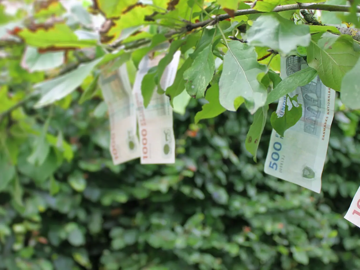 14-03-2025: Ny innovation på vej – projekter søger om 881 millioner ...